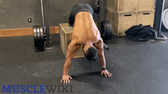 Shoulders-MuscleWiki