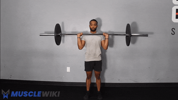 Shoulders-MuscleWiki