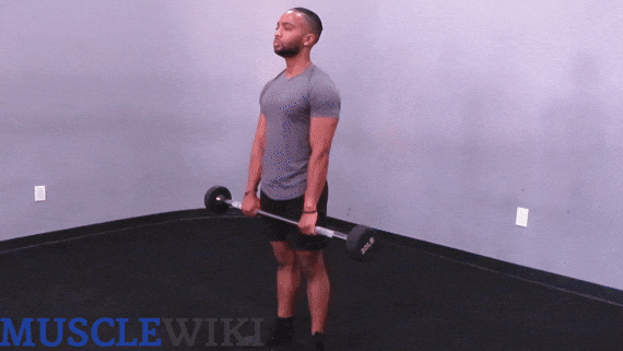 Biceps-MuscleWiki