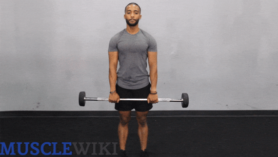 Shoulders-MuscleWiki