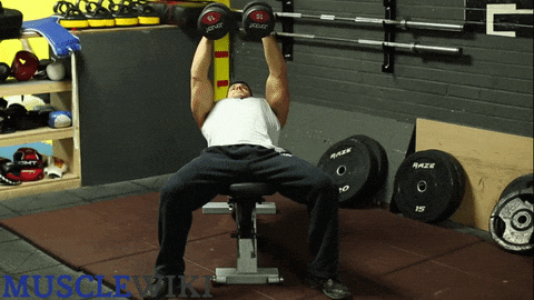 Chest-MuscleWiki