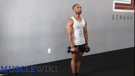 Shoulders-MuscleWiki